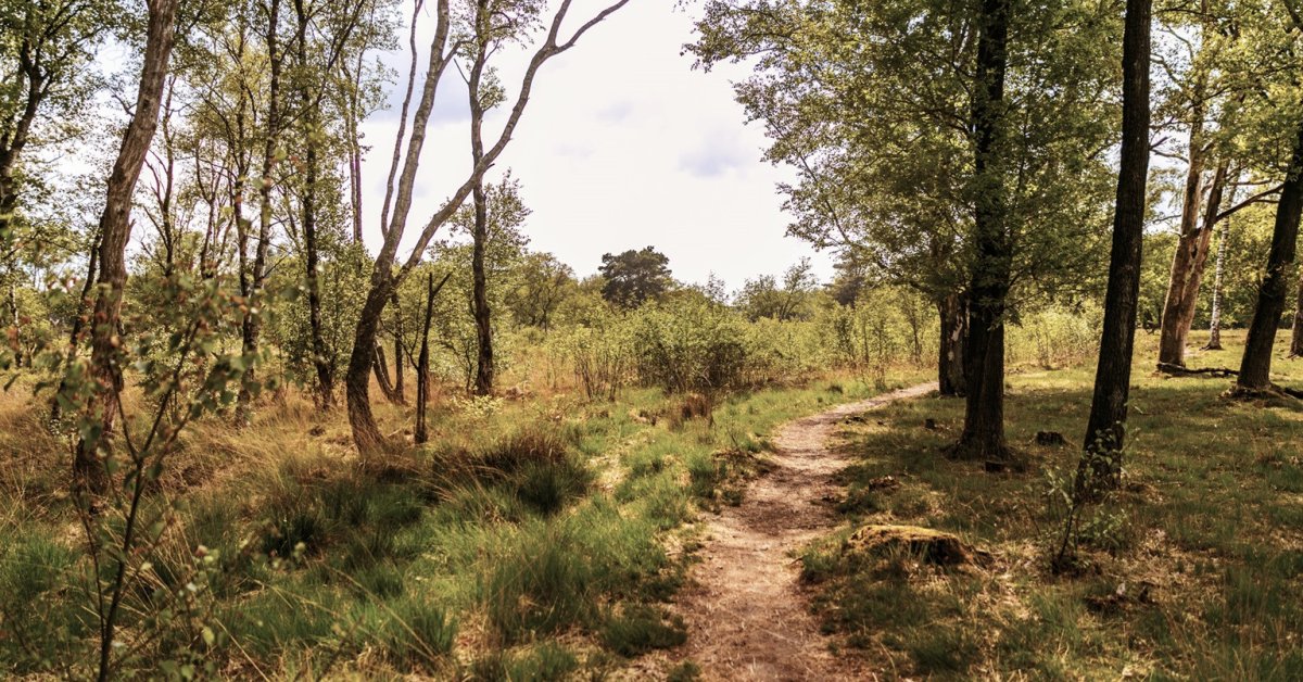 Ferienhaus am Uitgeestermeer | Dutchen